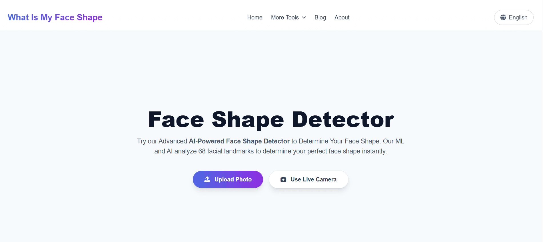 Privacy & Security of Face Shape Detector Online: What Really Happens ...